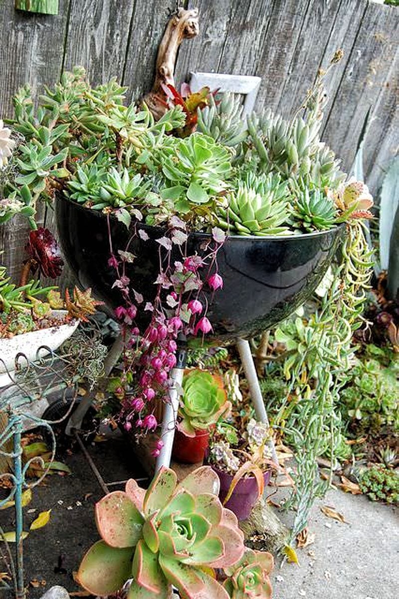 27 Recycled Planter Ideas | Garden Outline 27 Recycled Planter Ideas | Garden Outline
